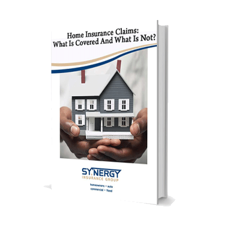 Home Inventory Checklist - Workbook - Synergy Insurance